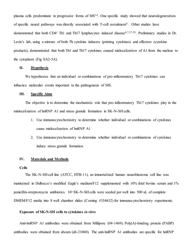 MSRF.finalpaper.pketch.abstractedit | PDF