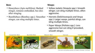 Bee and Wasp Stings ( Introduction, type of poison, treatment) | PPTX