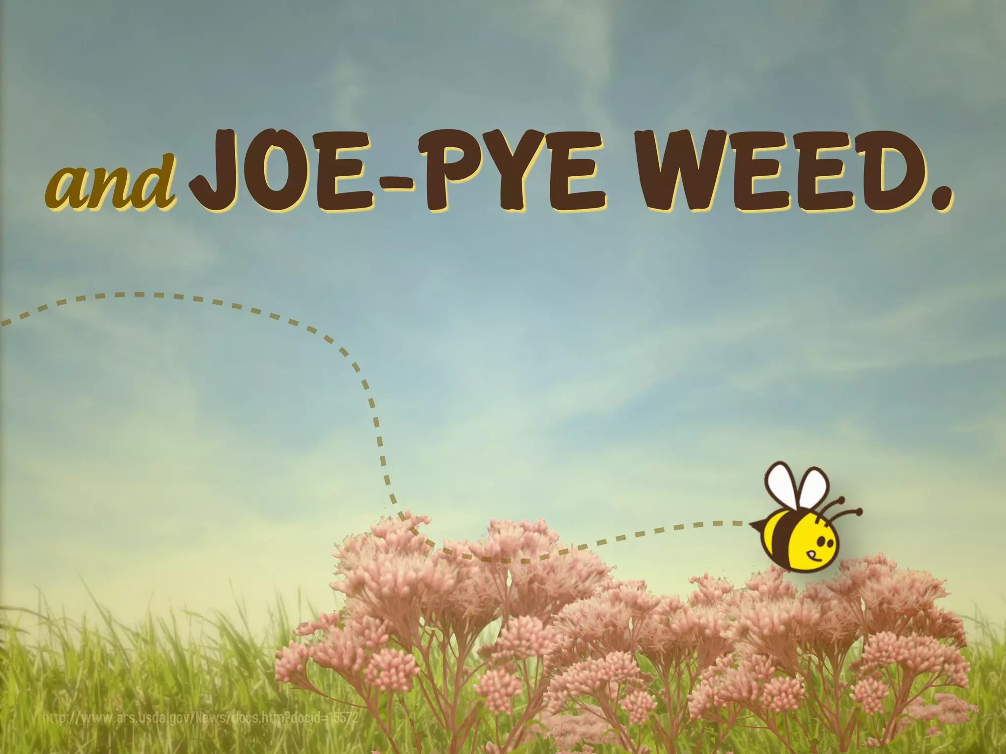 BEE AWARE! #CCD #Bees #Honeybee | PDF