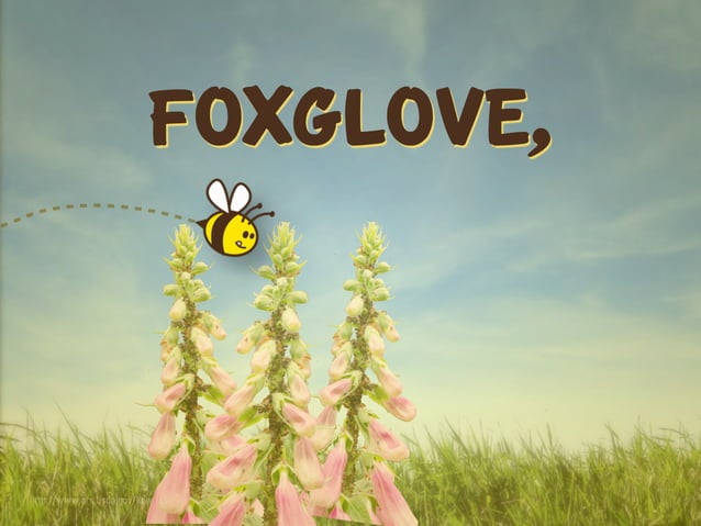 BEE AWARE! #CCD #Bees #Honeybee | PPT