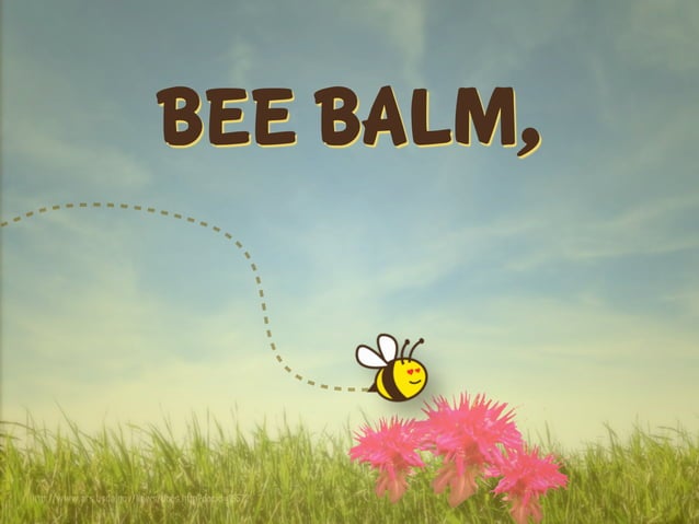 BEE AWARE! #CCD #Bees #Honeybee | PPT