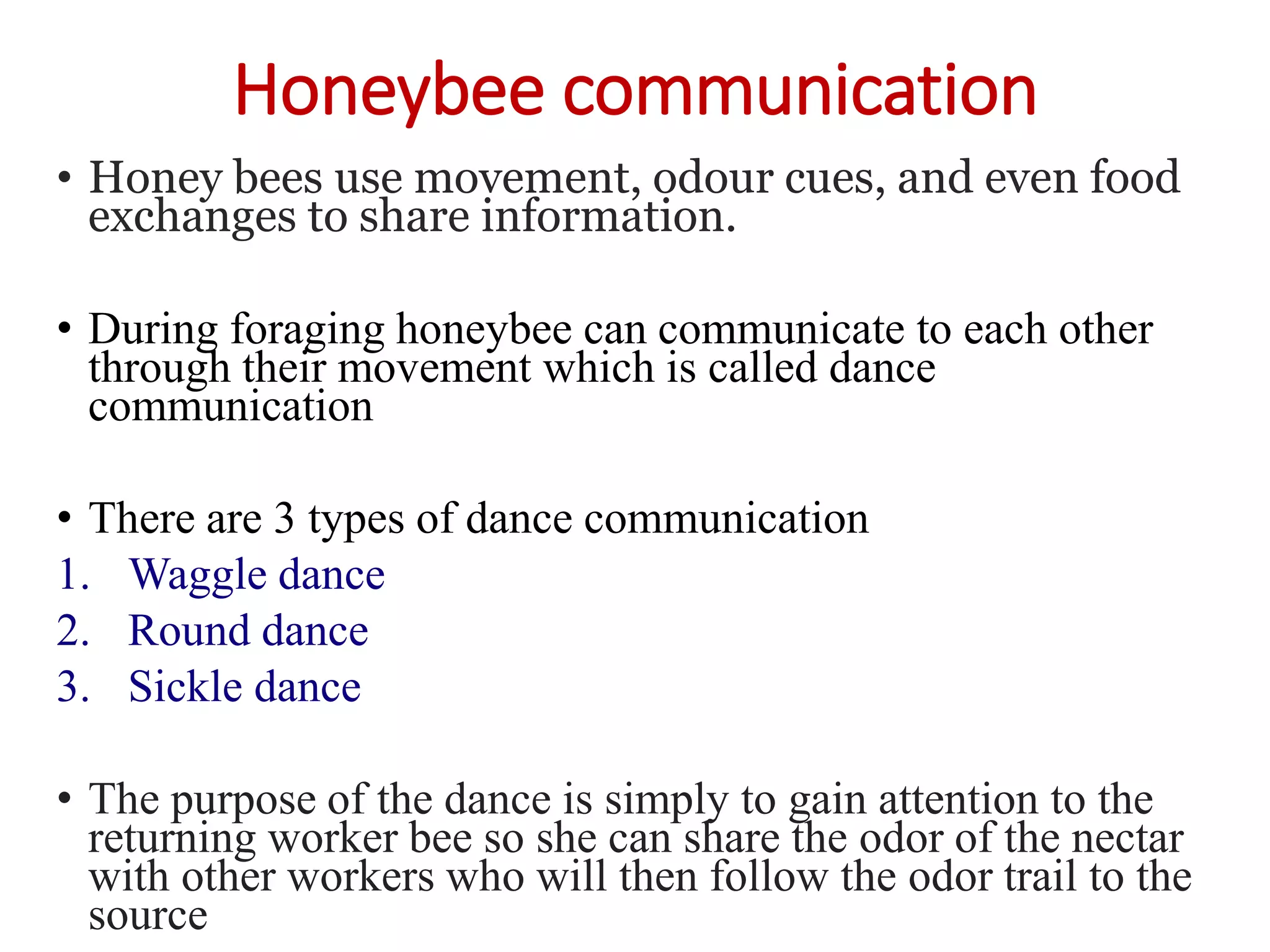 Bee biology and communication.pptx