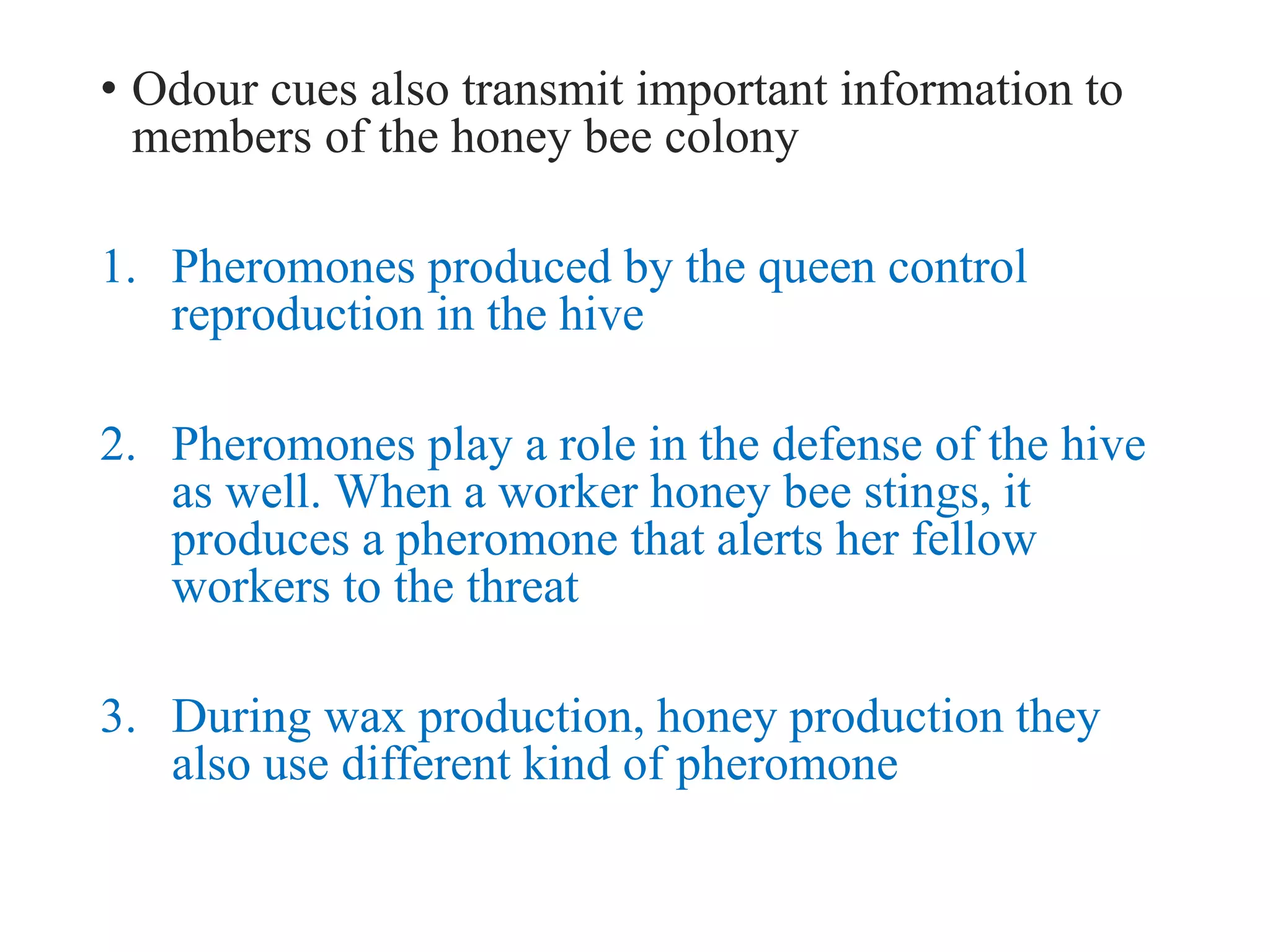 Bee biology and communication.pptx