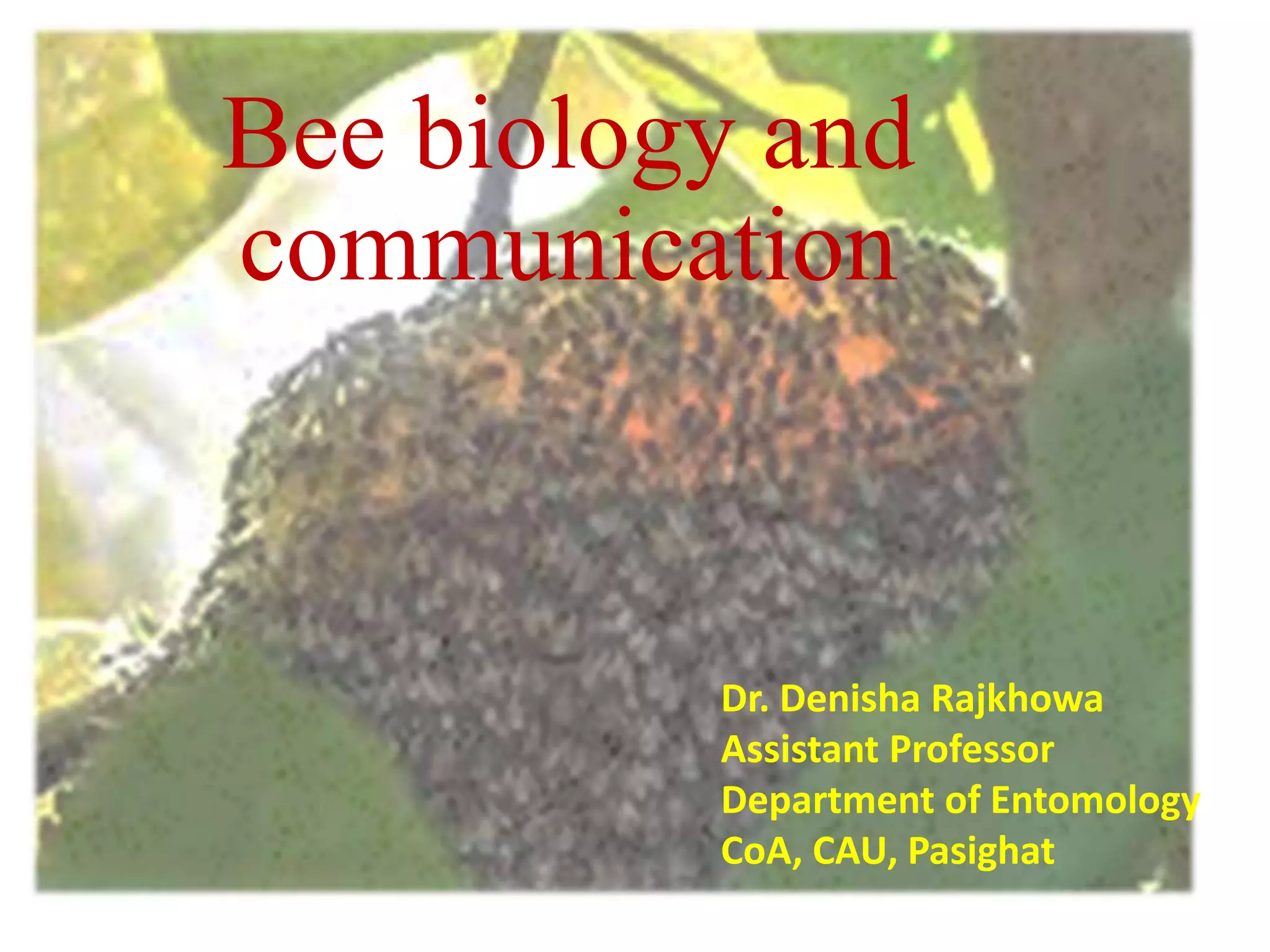 Honeybee biology and communication.pptx