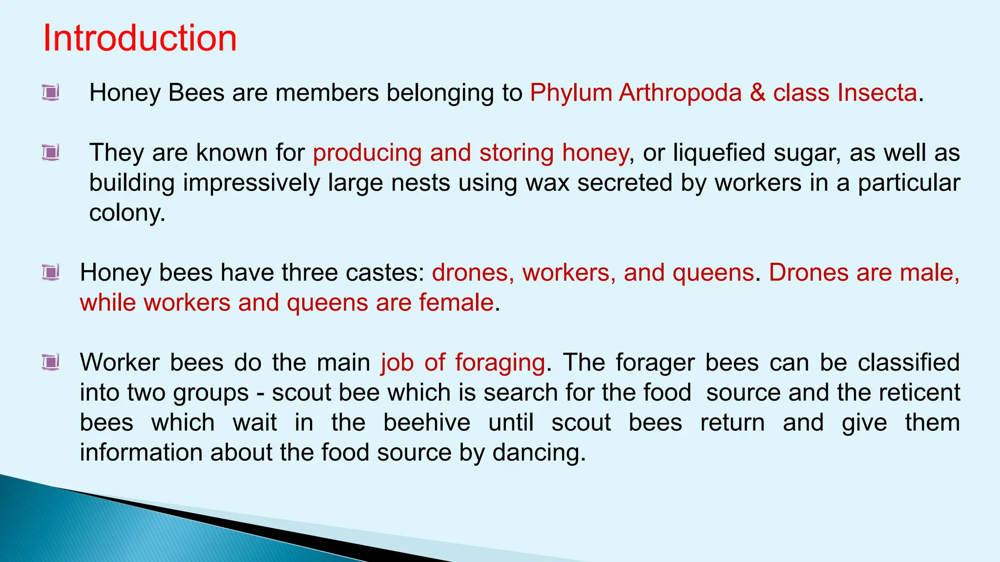 bee communication dance.pdf how the communicate with each other | PDF