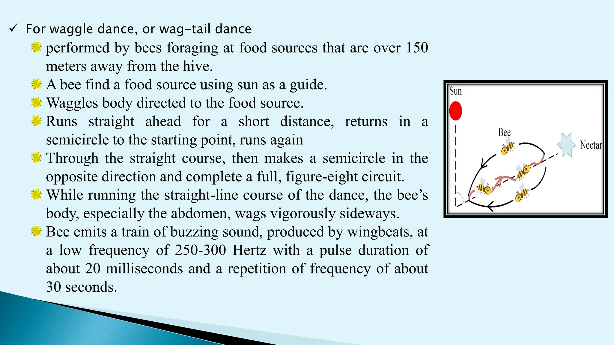 bee communication dance.pdf how the communicate with each other | PDF