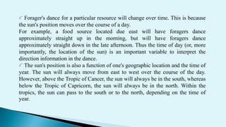 bee communication dance.pdf how the communicate with each other | PDF