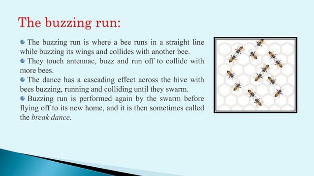 bee communication dance.pdf how the communicate with each other | PDF
