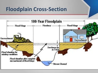 Bee Creek Floodplain Management | PPT