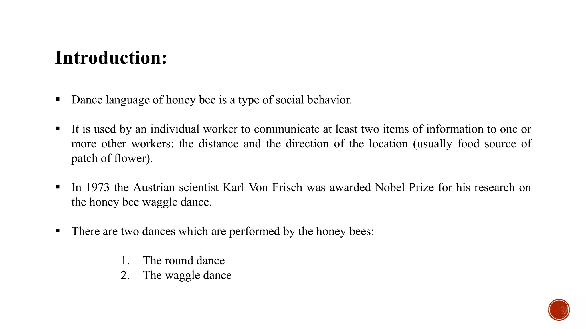 Bee dance | PPTX