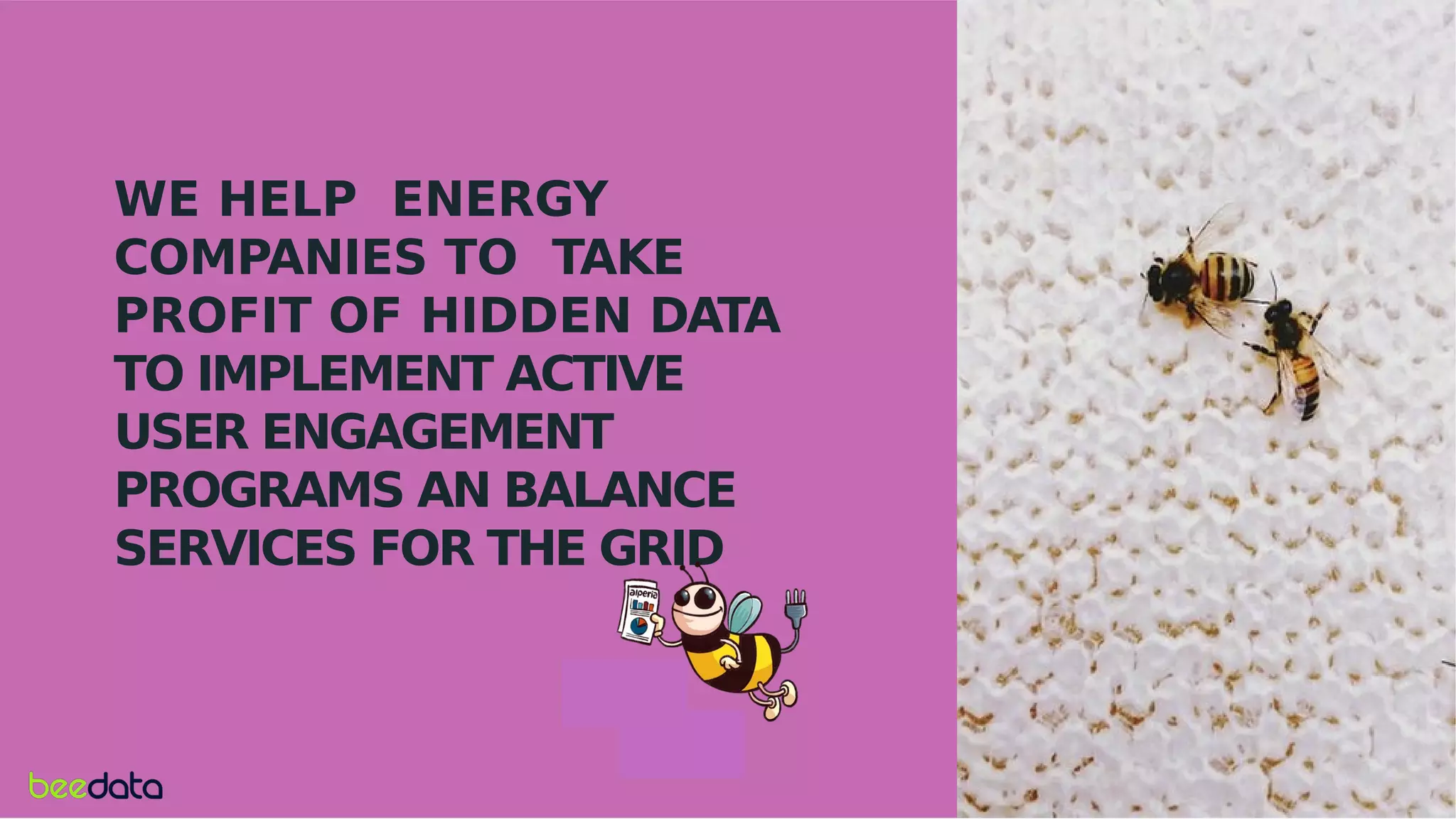 Beedata deck-summary 21 | PDF