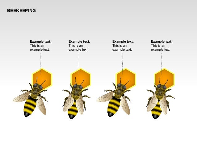 Bee Diagrams