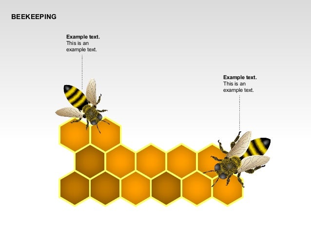 Bee Diagrams