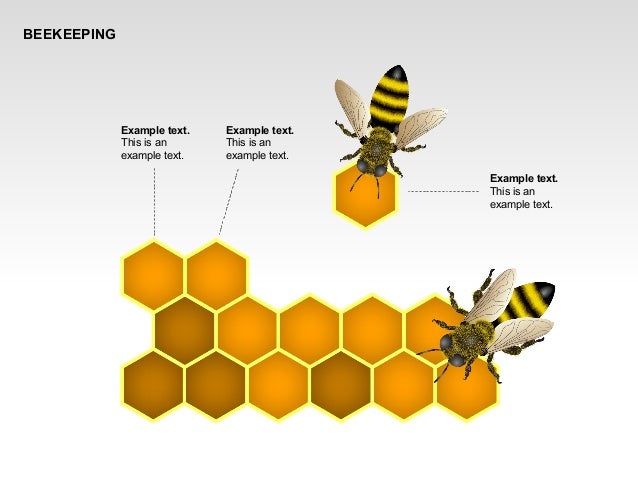 Bee Diagrams