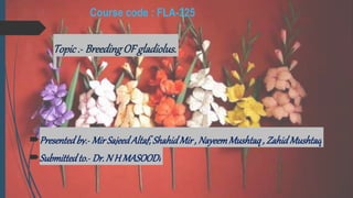 Beeding Gladiolus by zahid mushtaq .pptx | Gardening | Home & Garden