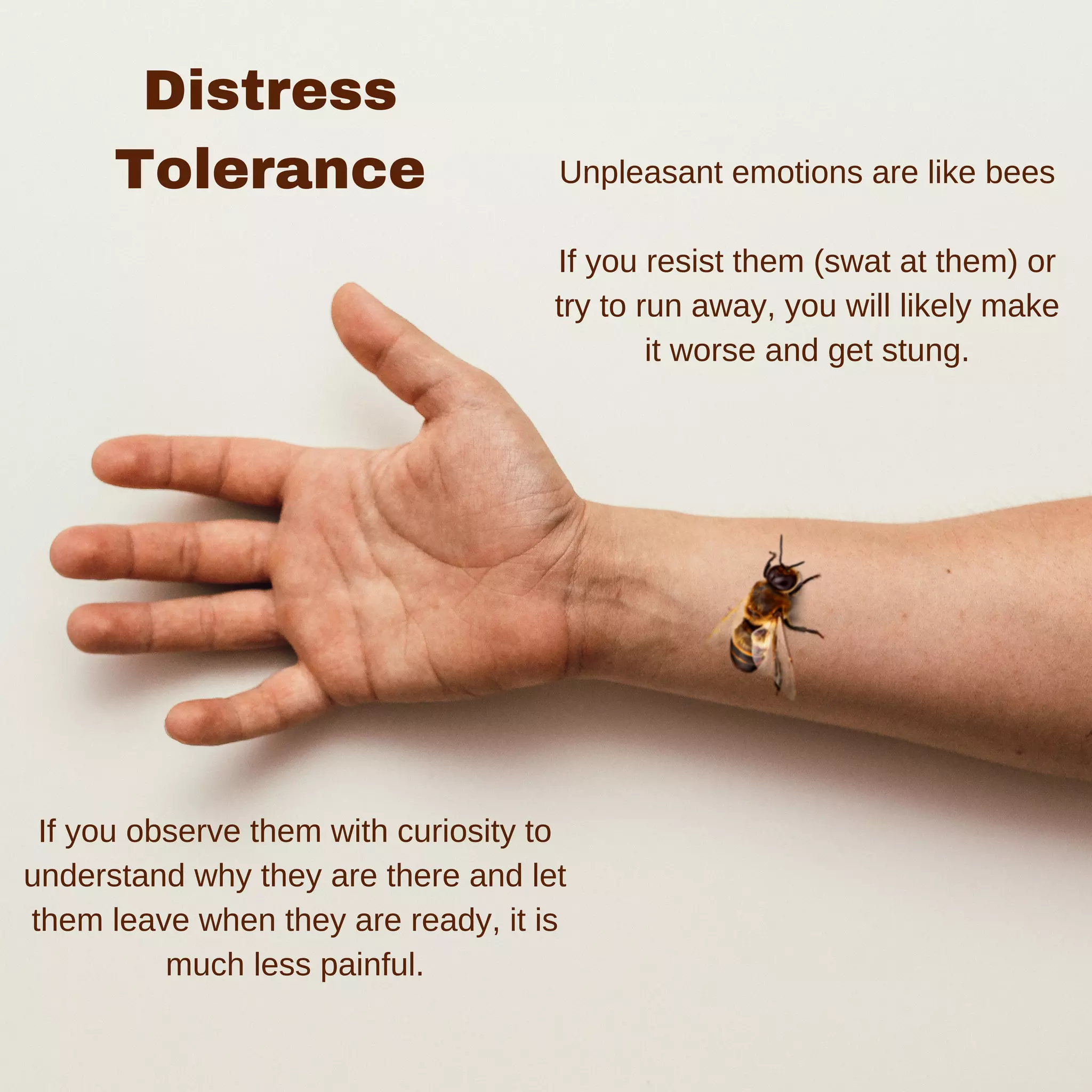 Distress Tolerance | PDF