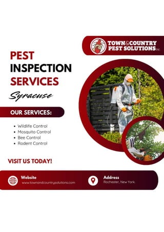 Pest Management Services at Town and Country Pest Control Solutions ...