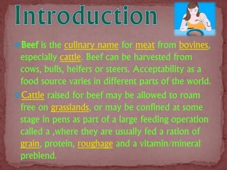 Beef | PPTX