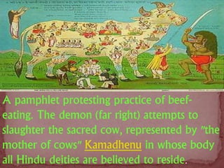 Beef | PPTX
