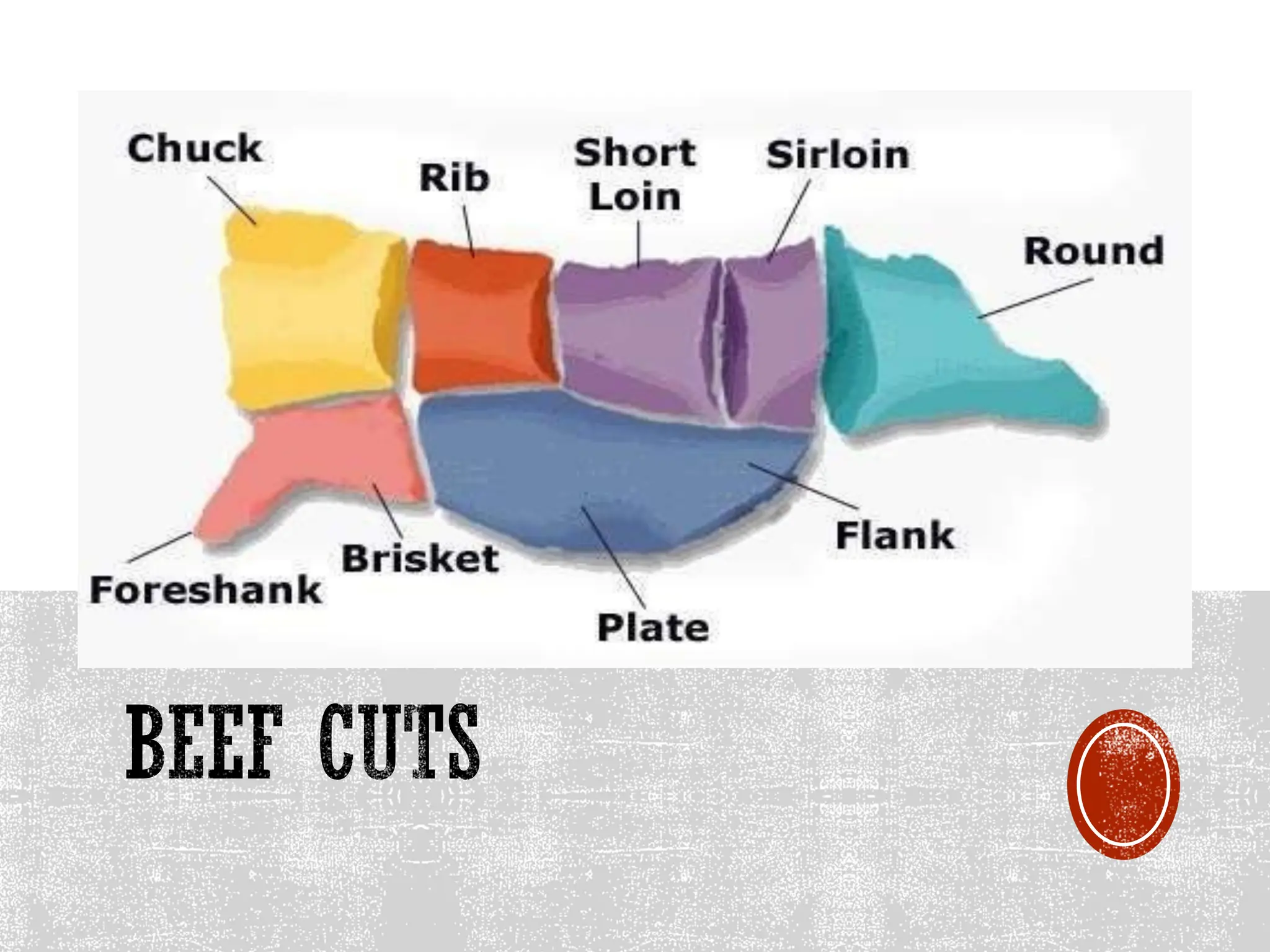 introduction to Beef , grading, and parts | PDF