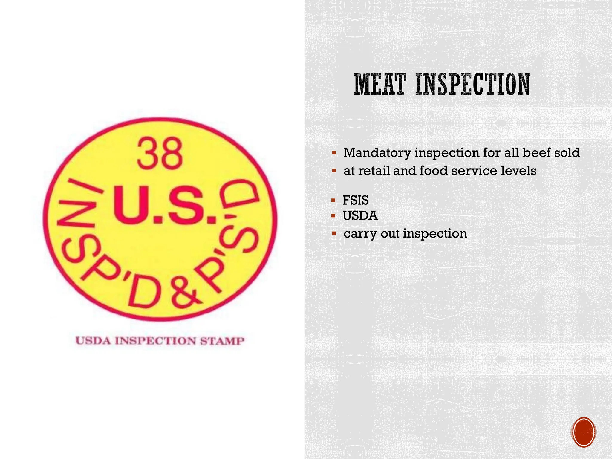 introduction to Beef , grading, and parts | PDF