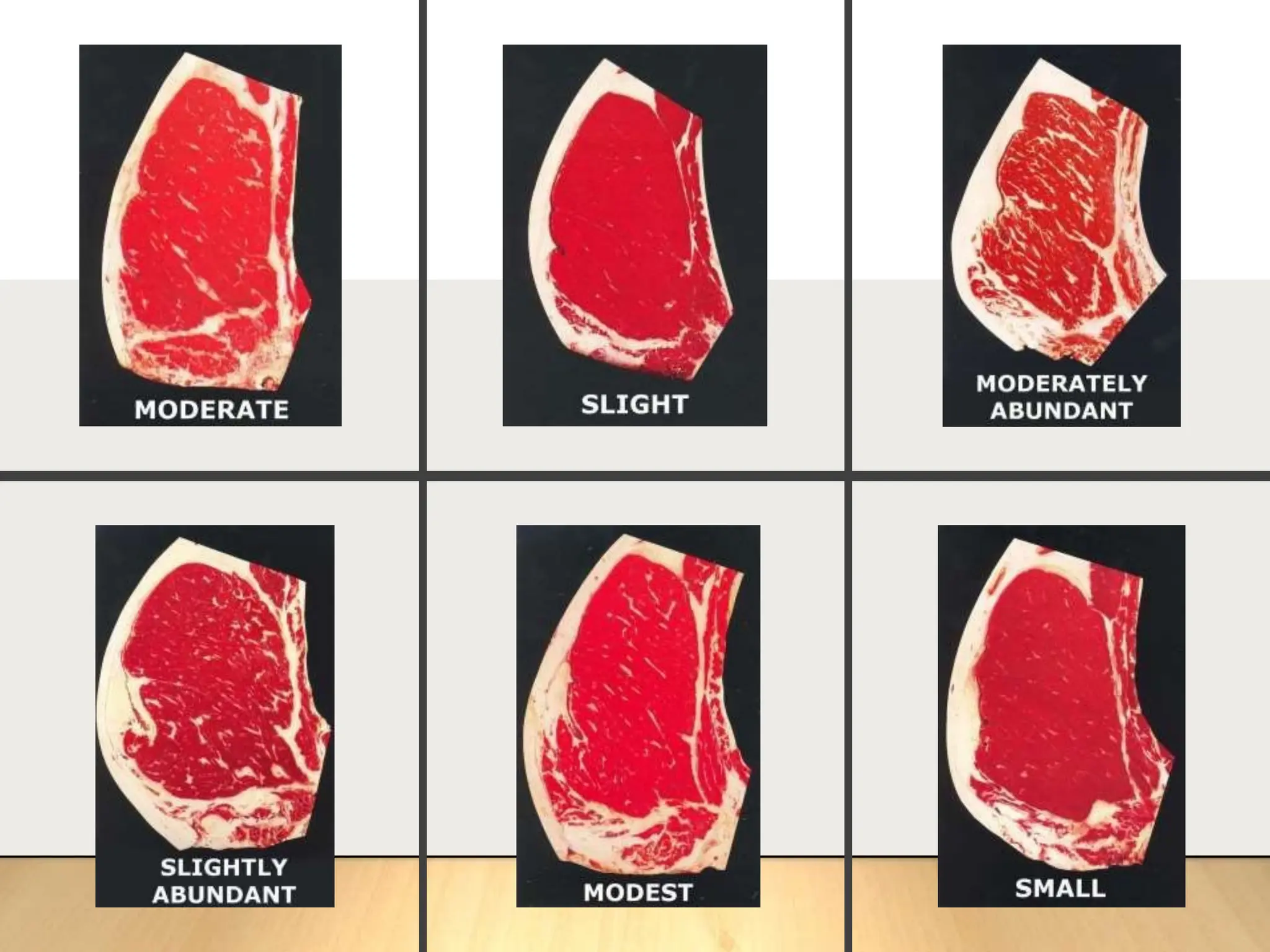 introduction to Beef , grading, and parts | PDF