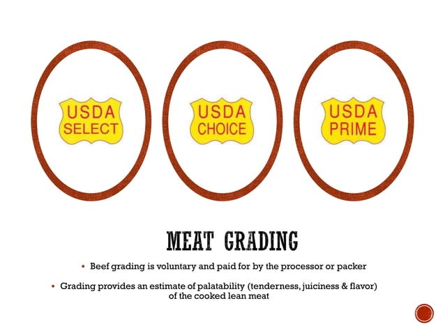 introduction to Beef , grading, and parts | PDF | Cooking | Food & Drink