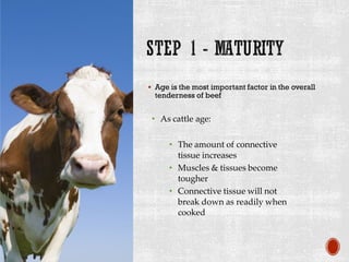 introduction to Beef , grading, and parts | PDF