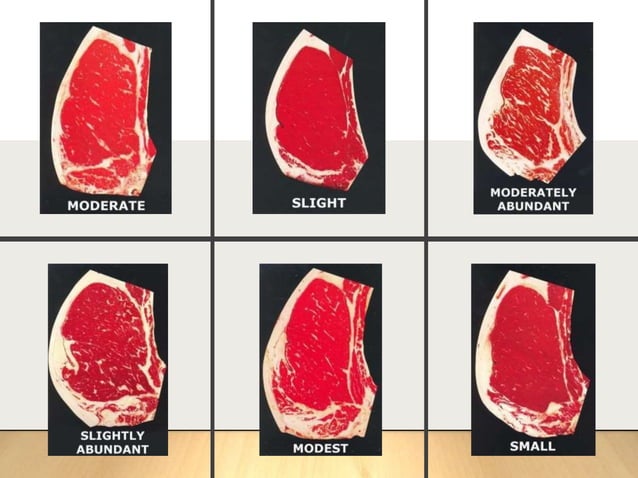 introduction to Beef , grading, and parts | PDF | Cooking | Food & Drink