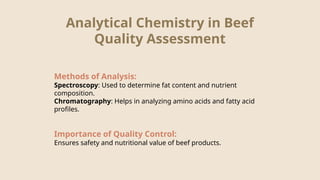 Beef: Nutritional Value, Processing, and Its Role in Food Engineering ...