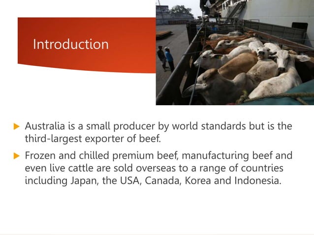 Beef-Cattle.pptx