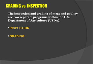 Beef Knowledge | PPT