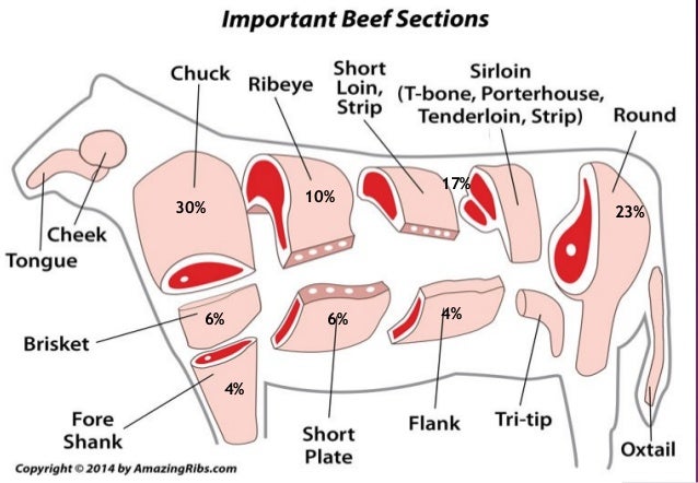 Beef Knowledge