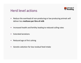 Beef and sheep: What can Improved Feeding do to Increase Efficiency ...