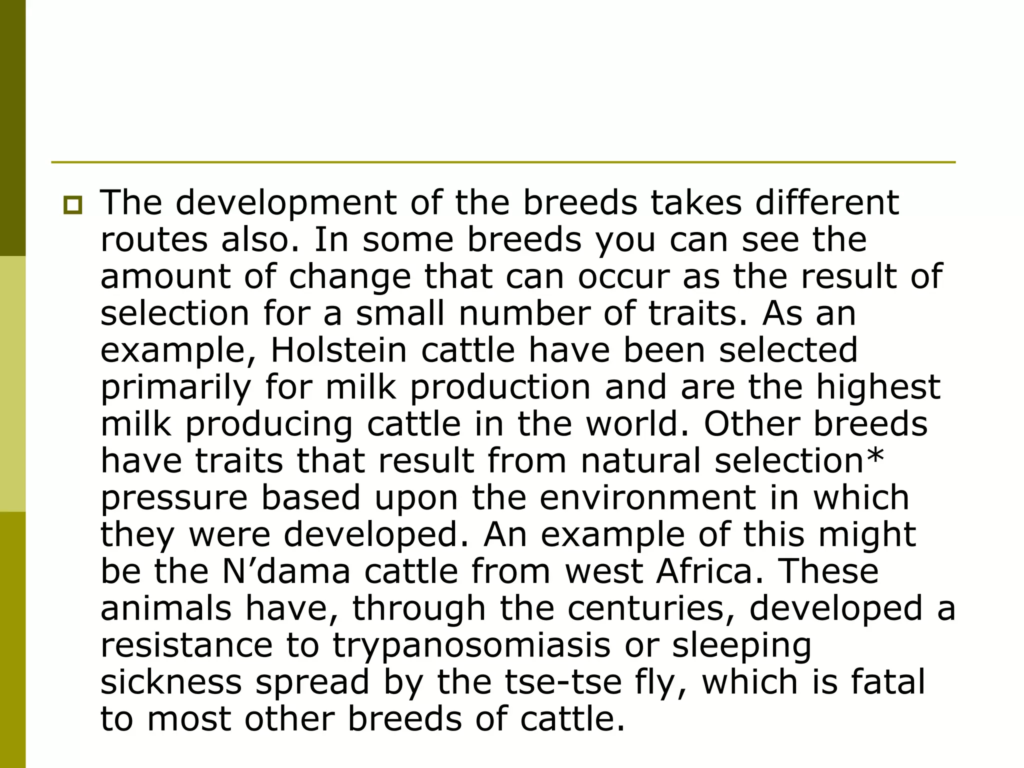 beef breed notes and type.ppt