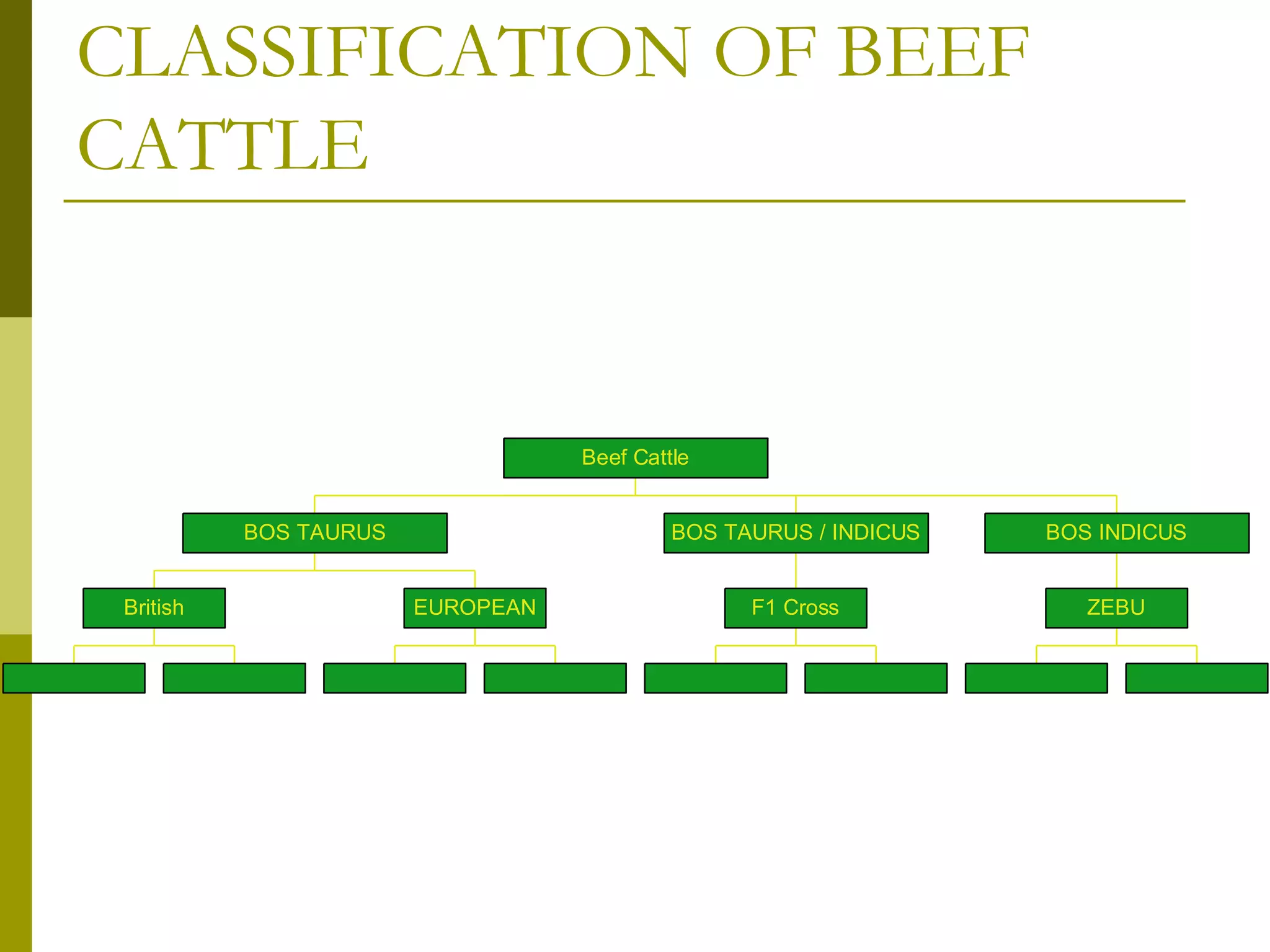 beef breed notes and type.ppt | Free Download