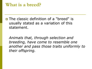 beef breed notes and type.ppt