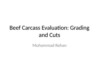 Beef_Carcass_Evaluation_Presentation.pptx
