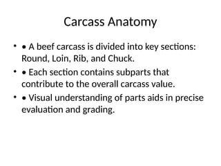 Beef_Carcass_Evaluation_Presentation.pptx