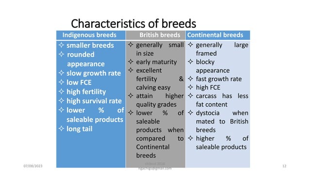 BEEF CATTLE BREEDS-1.pptx | Dogs | Pets