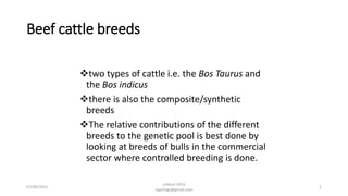BEEF CATTLE BREEDS-1.pptx | Dogs | Pets