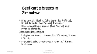 BEEF CATTLE BREEDS-1.pptx | Dogs | Pets