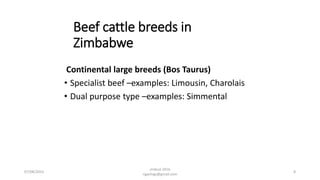 BEEF CATTLE BREEDS-1.pptx | Dogs | Pets