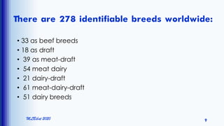 Beef cattle breeds | PDF