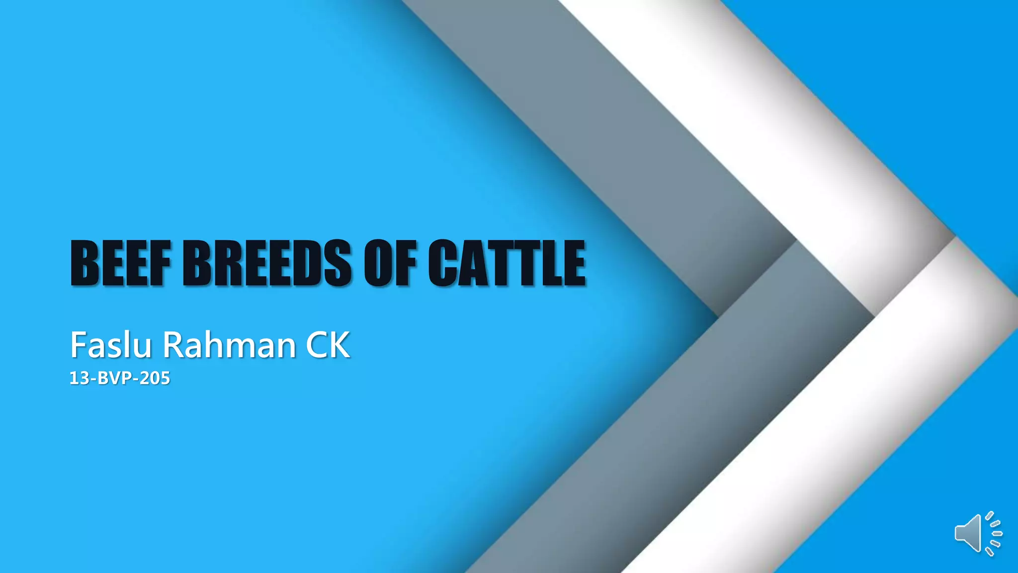 Beef cattle breeds by Dr.Faslu Rahman CK | PPTX