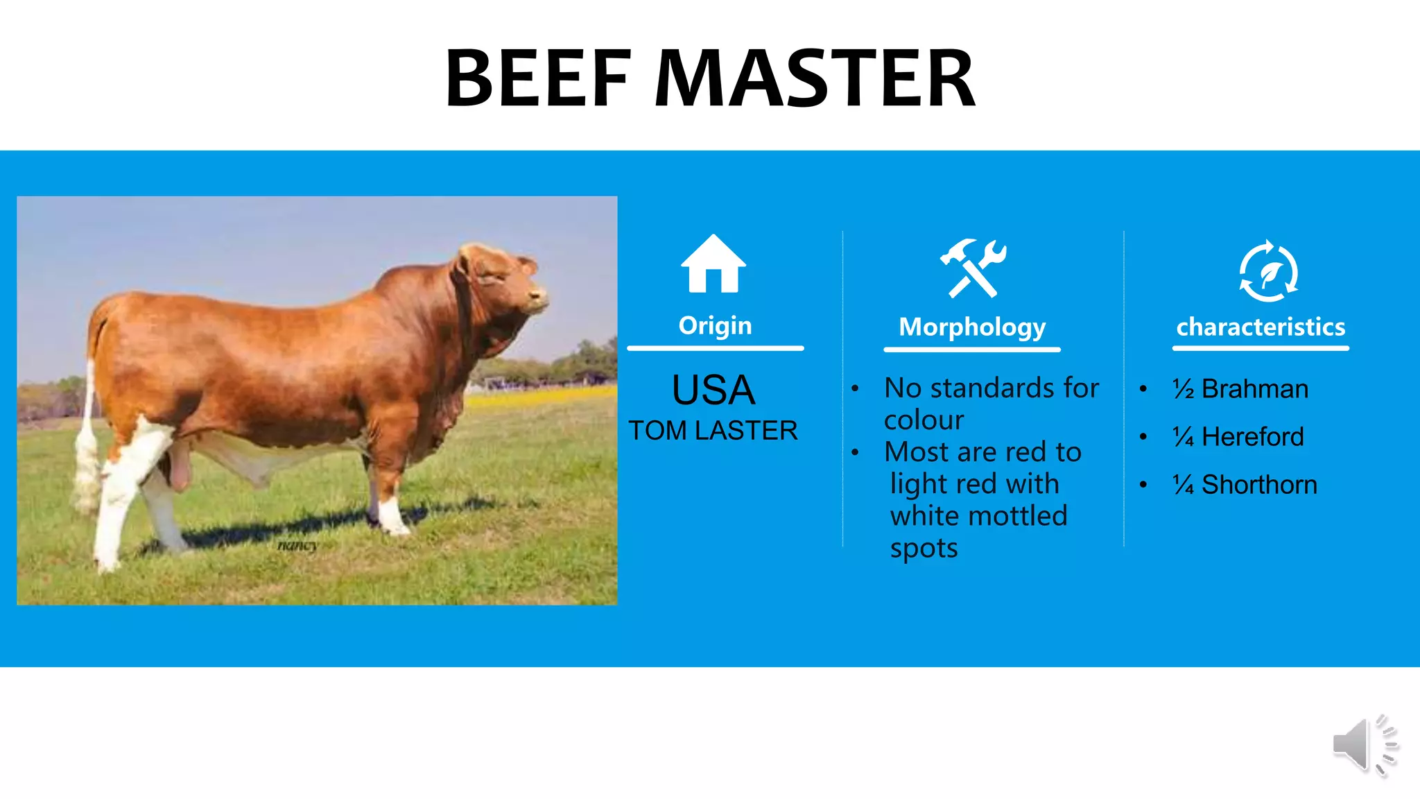 Beef cattle breeds by Dr.Faslu Rahman CK | PPTX