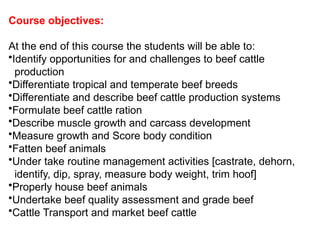 Beef Cattle production and management system | PPTX