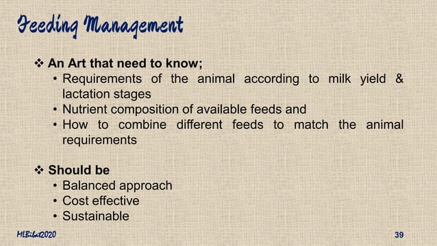 Beef cattle nutrition | PDF