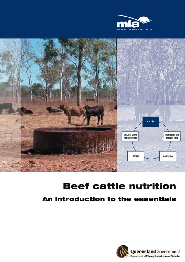 Beef cattle nutrition (australia) | PDF