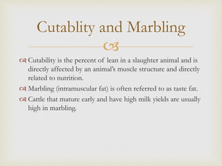 Beef_Cattle_PP [Repaired].pptx